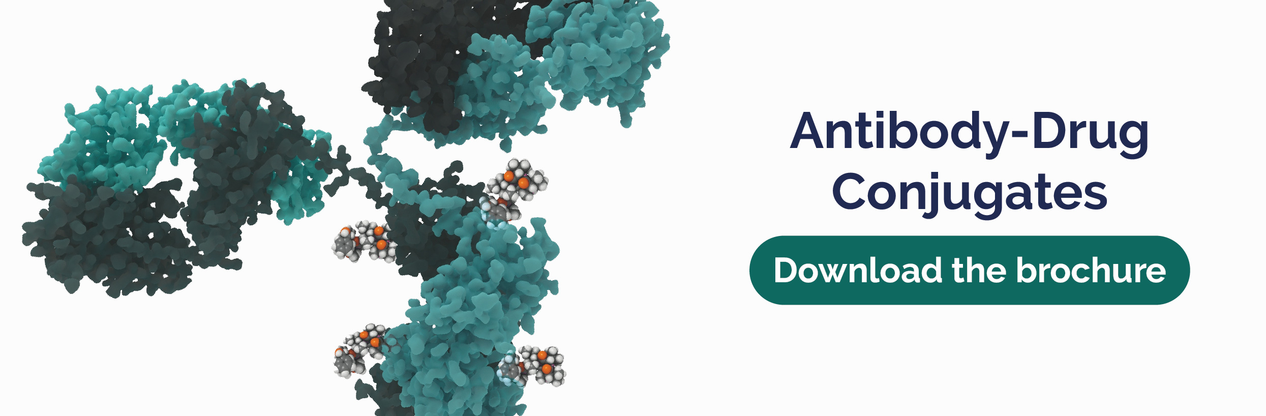 World ADC 2024 | Quality Assistance